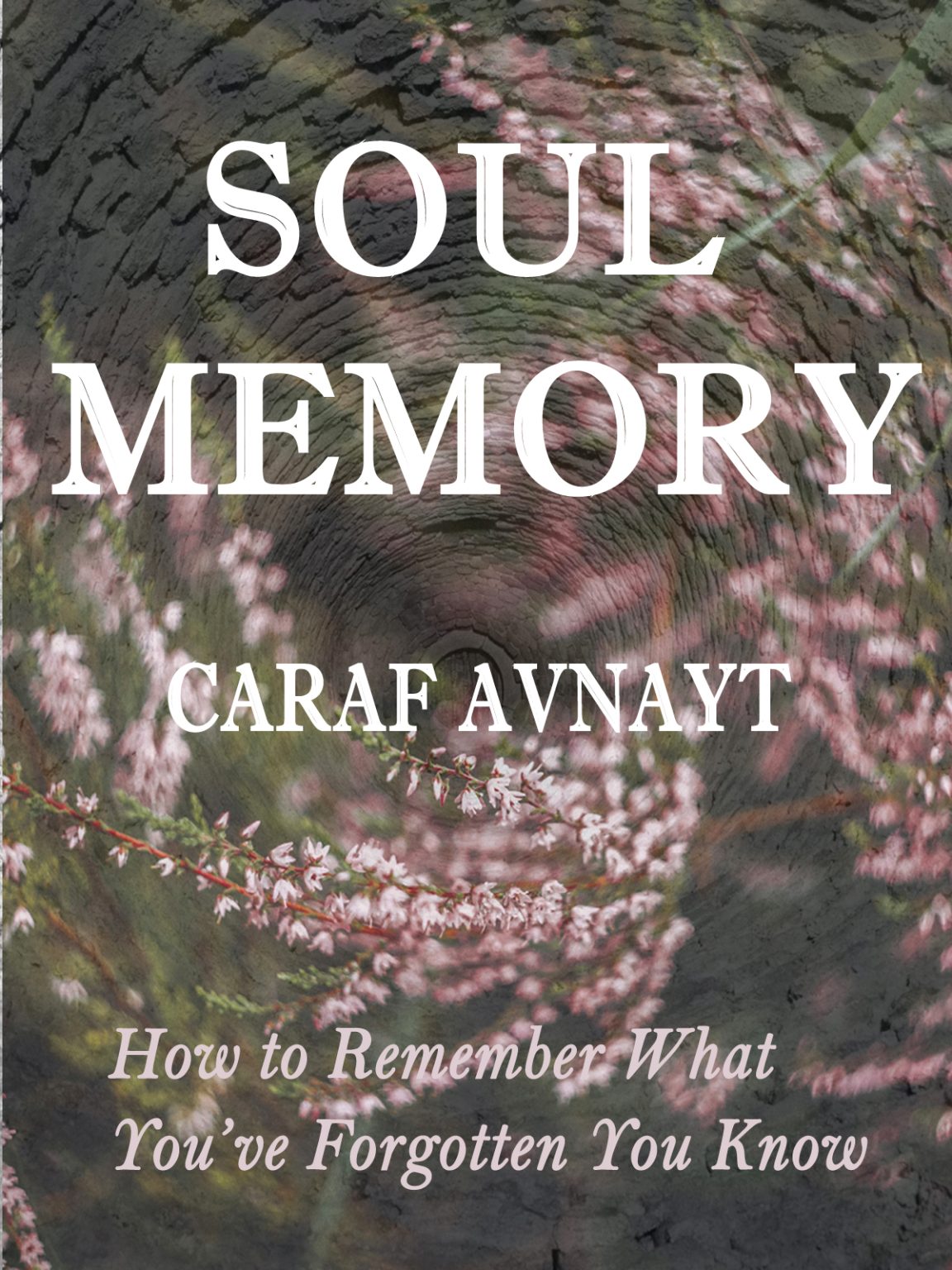 Releasing Soul Memory Held in Water - Excerpt from "Soul Memory ...